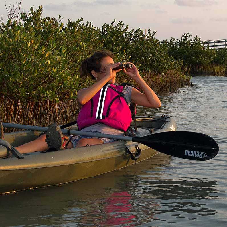 About GSP@Rice | School of Engineering | Rice University
